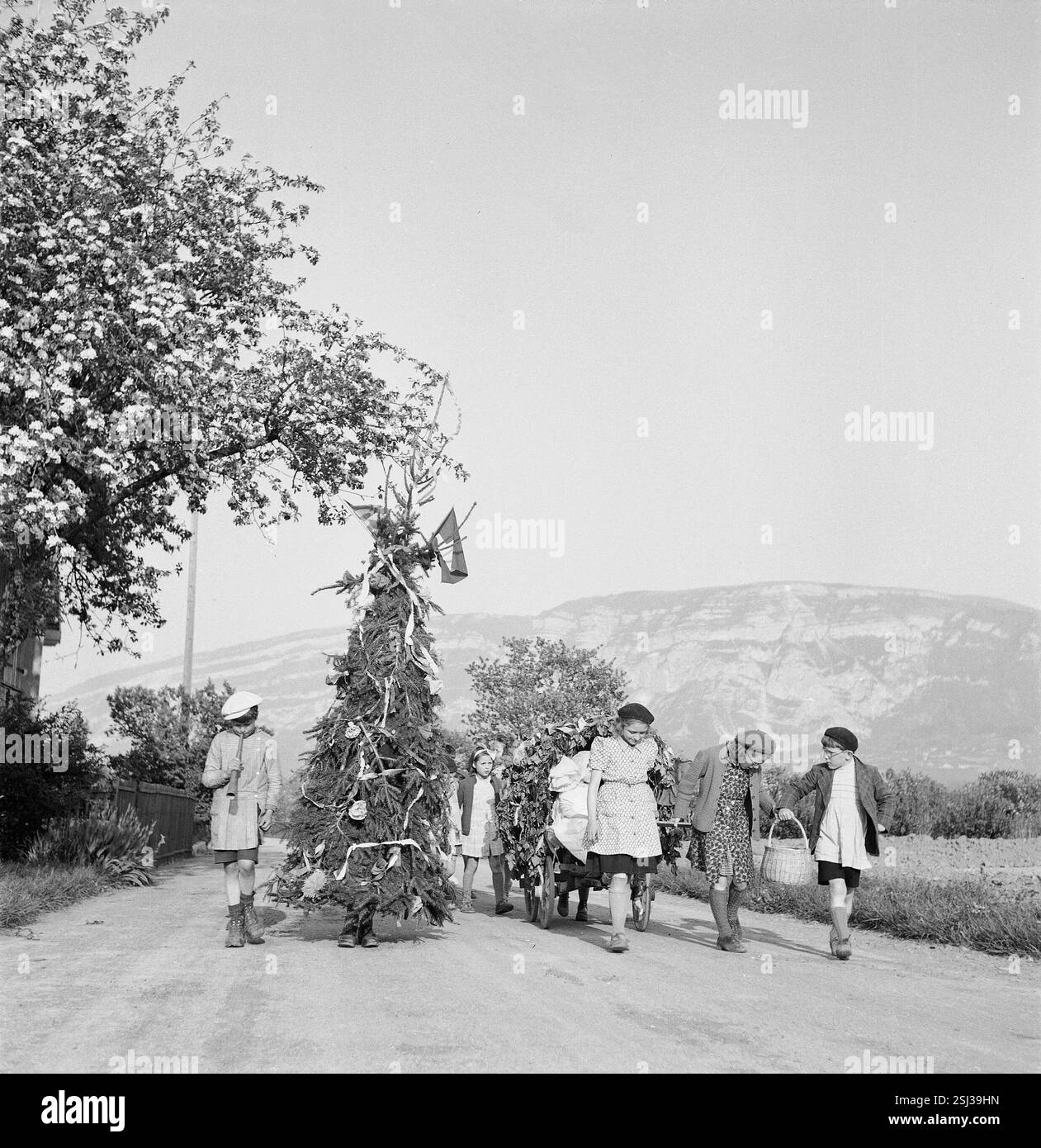 Kinder bei "Feuillu"-Umzug 1944#Children during "Feuillu", 1944 Stock ...