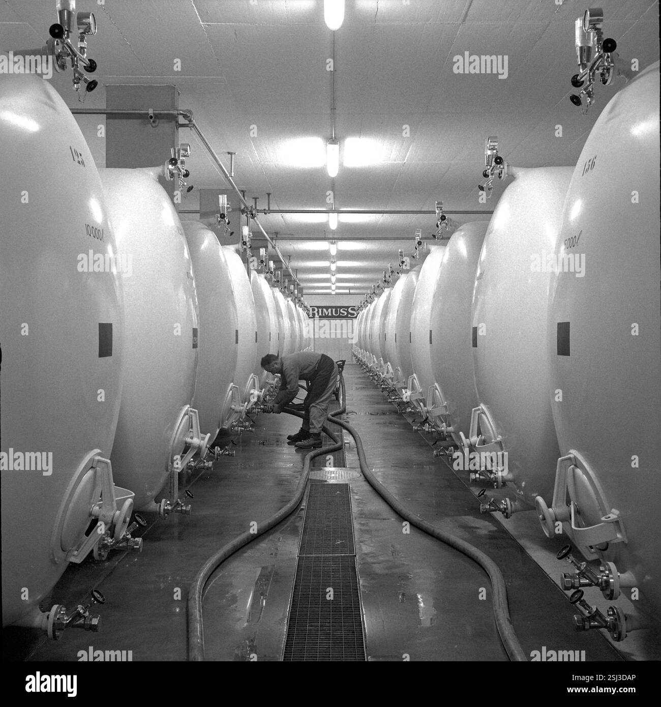 Neue Rimuss-Kellerei der Firma Rahm im Klettgau, 1964#New wine cellars ...