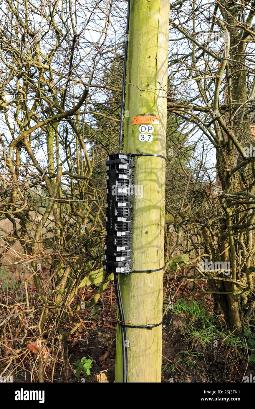 Heavy duty cable joint attached to a BT telephone pole, England, UK ...