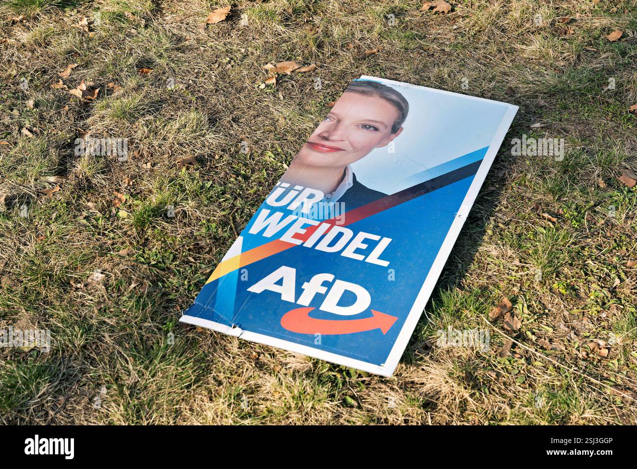 2025-02-11,Berlin,Teil von einem Wahlplakat Motiv Alice Weidel AfD zur ...