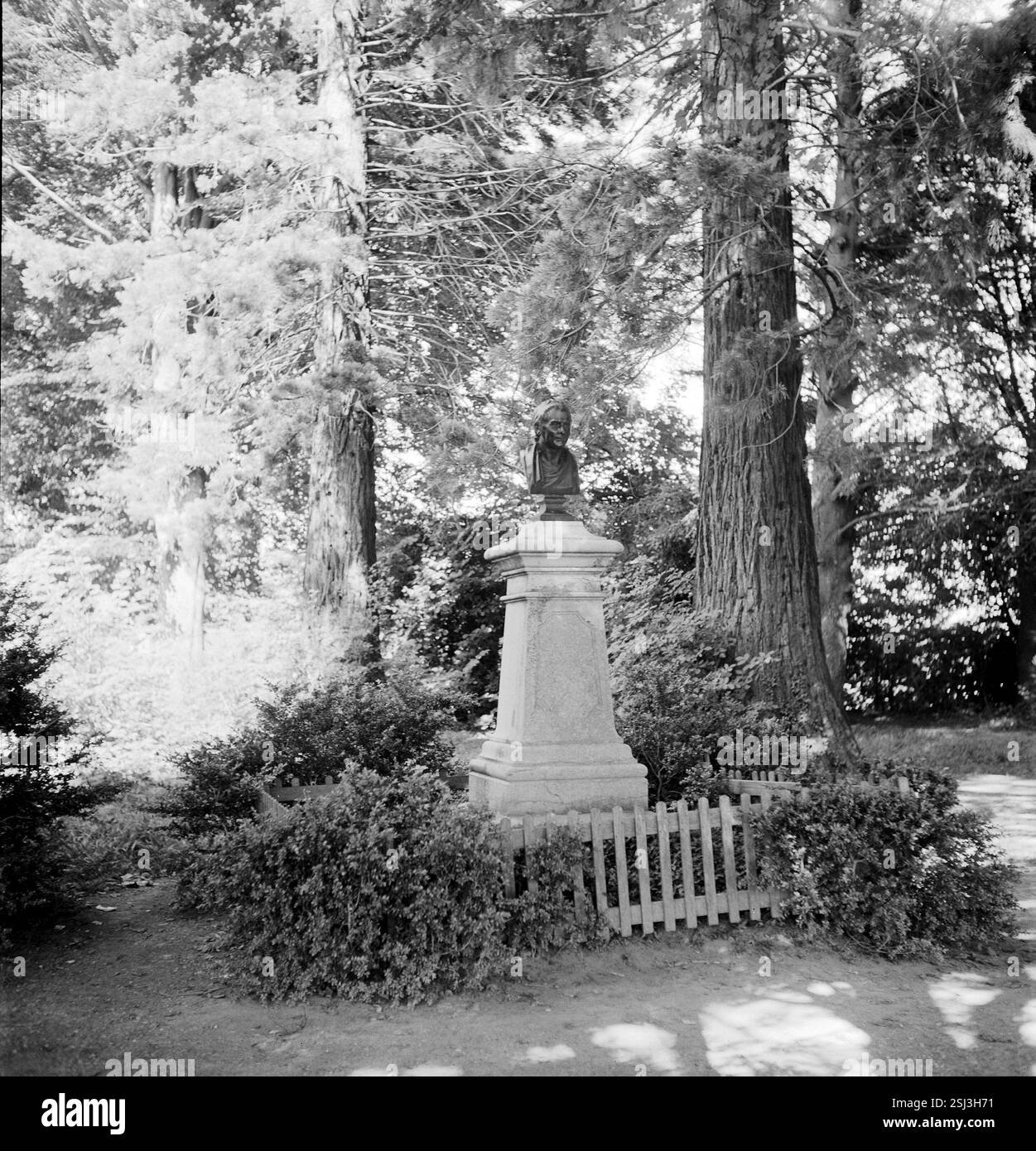 Jean-Jacques Rousseau Denkmal auf der St. Petersinsel; 1955#ST ...