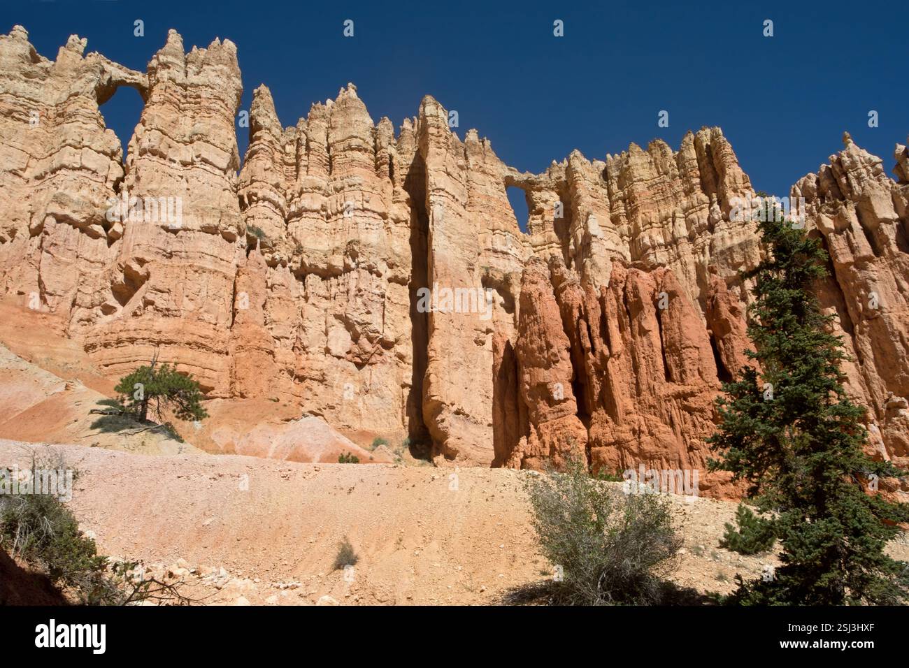 Peek-a-boo Trail: Wall of Windows Stock Photo - Alamy