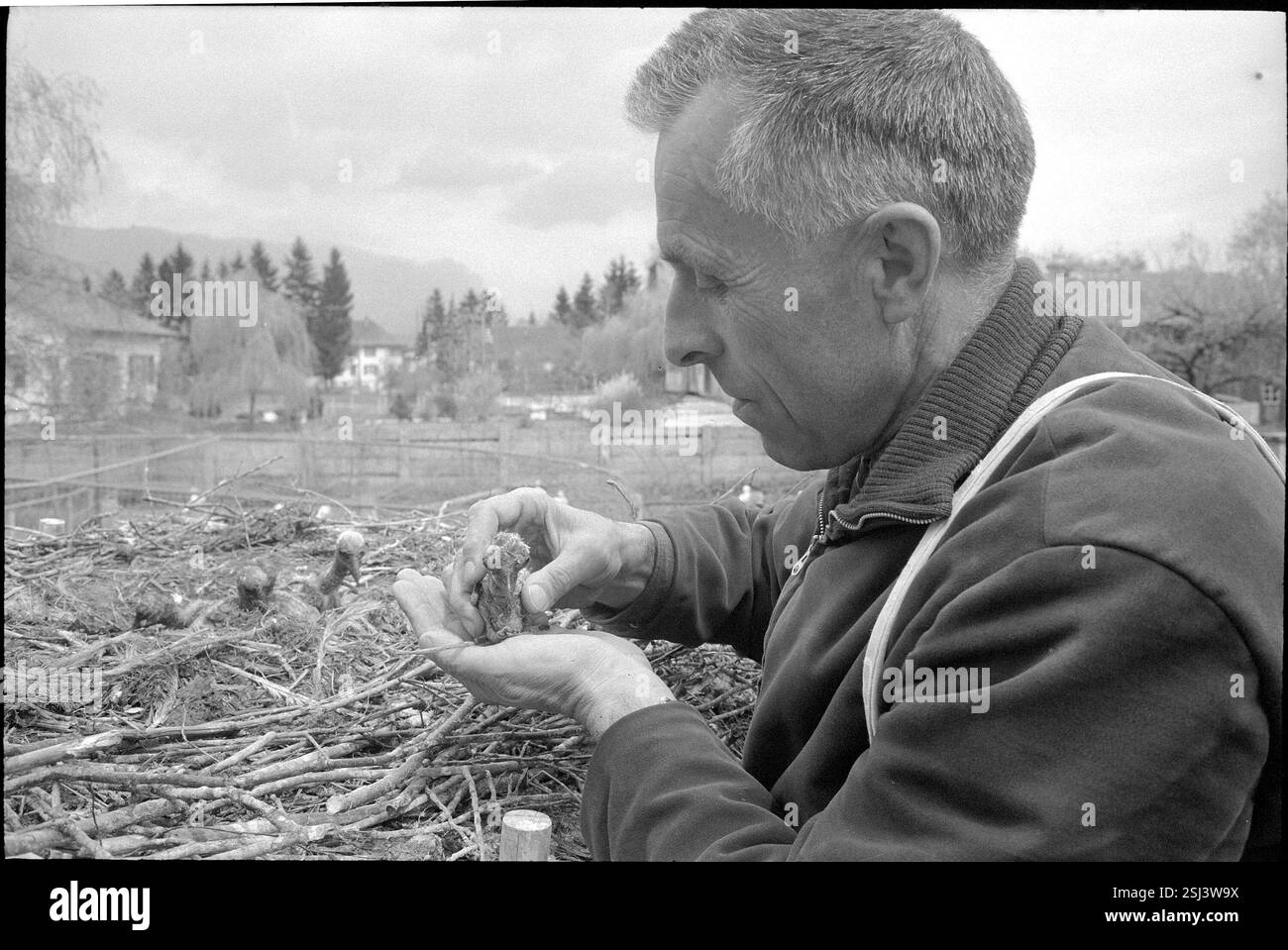 Max Blösch um 1960#Max Blösch around 1960 Stock Photo - Alamy