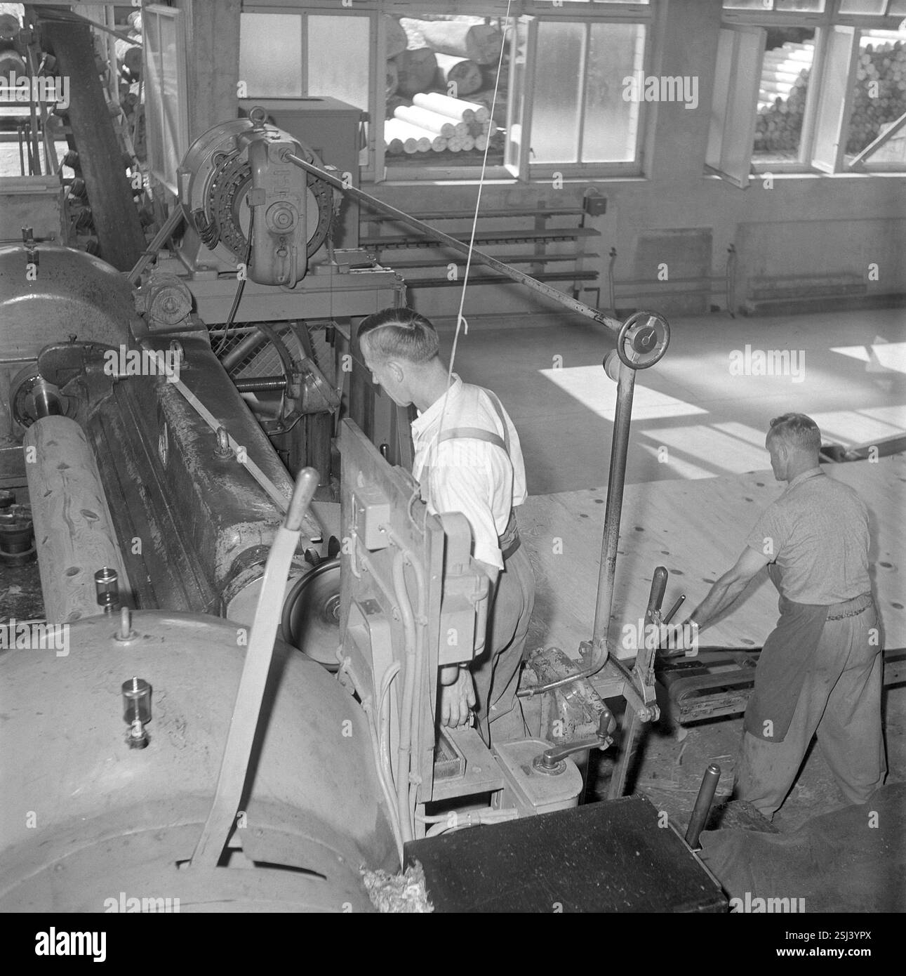 Herstellung von Novopan-Platten, 1959#Production of Novopan boards ...