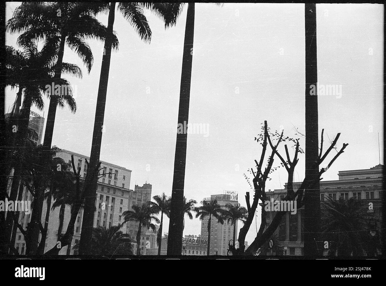 Sao Paulo, Brasilien 1950#Sao Paulo, Brazil 1950 Stock Photo - Alamy