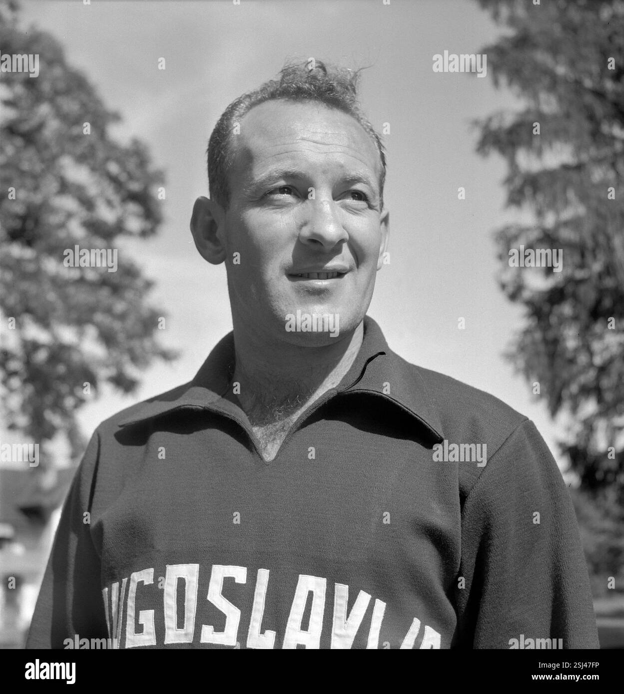 Cajkovski hi-res stock photography and images - Alamy