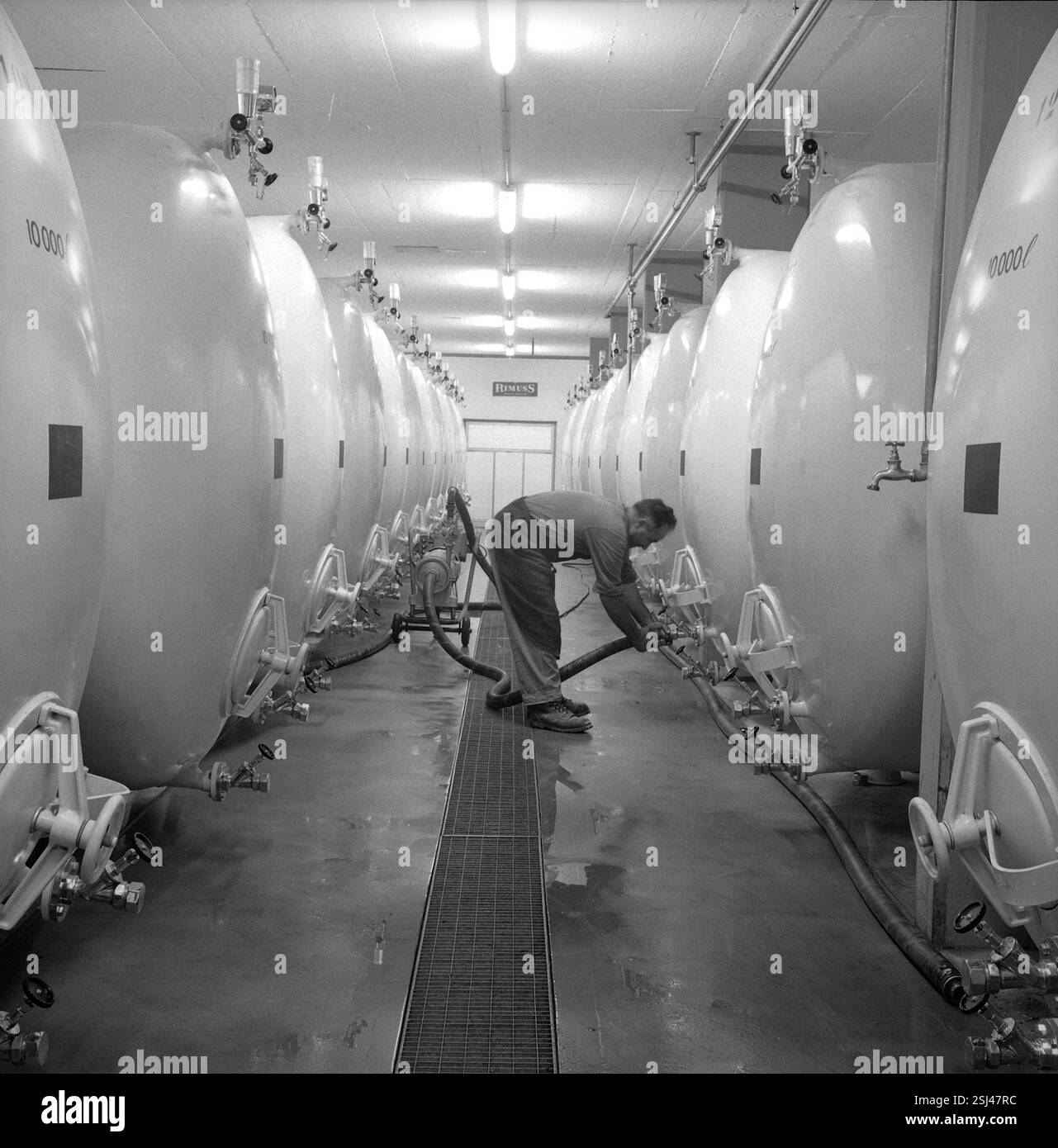 Neue Rimuss-Kellerei der Firma Rahm im Klettgau, 1964#New wine cellars ...