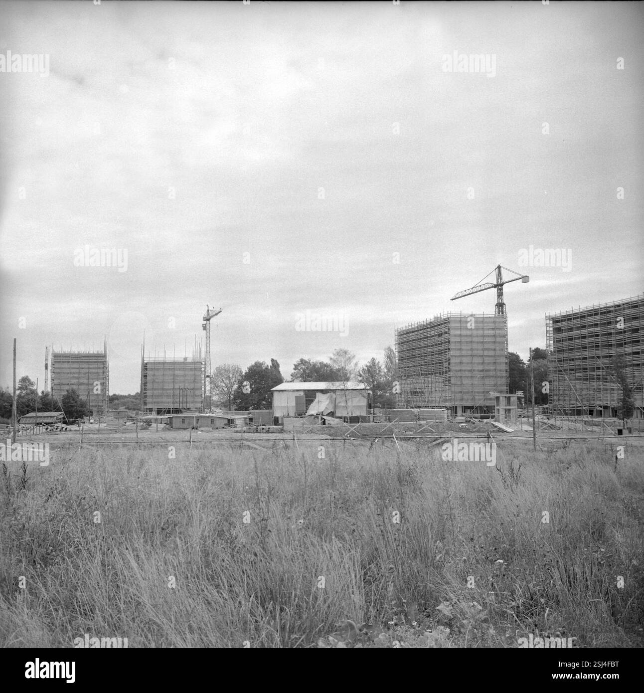 Genf: Bau der Satellitenstadt in Meyrin; 1960#Geneva: satellite town ...