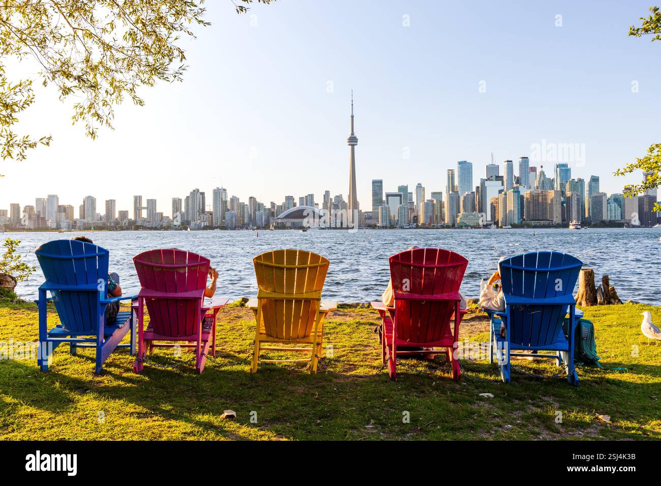 Colorful adirondack chairs on Toronto Island Park at sunset time ...