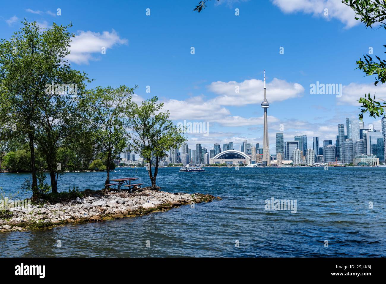 Toronto Island Park Wooden Bench. Toronto City downtown skyline in the ...