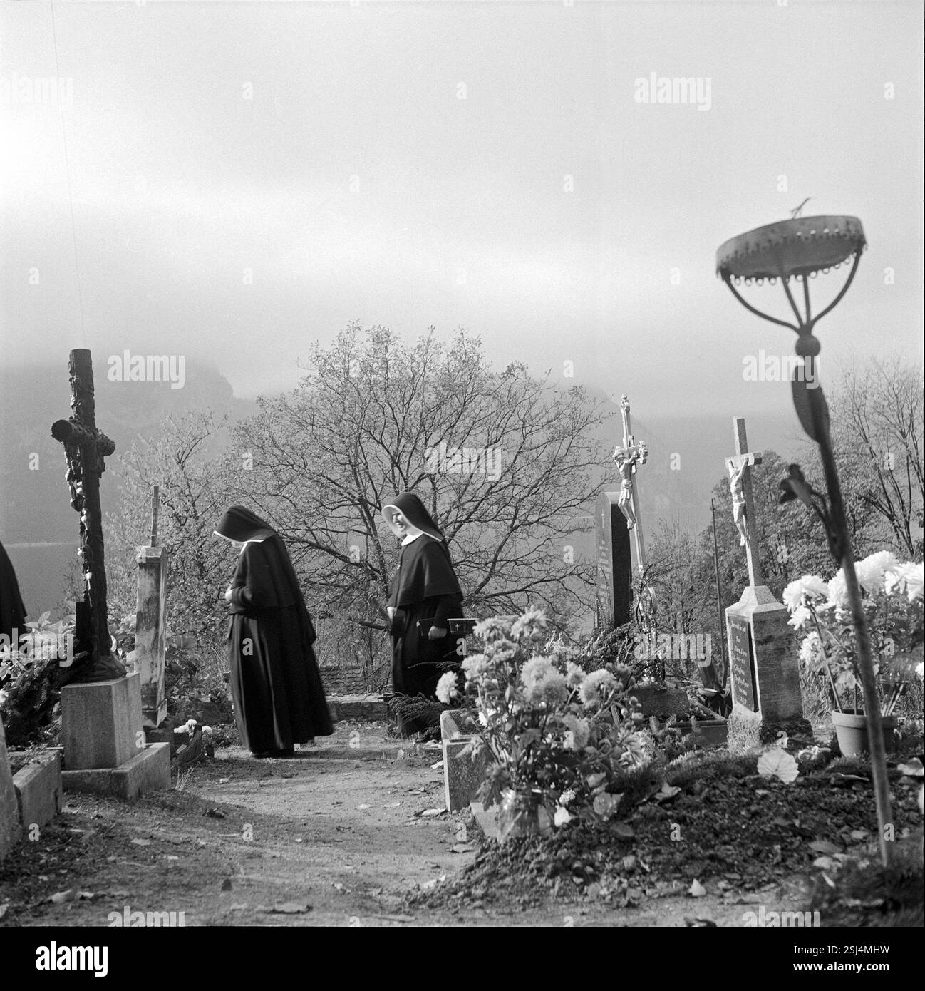 Nonnen auf dem Friedhof in Zürich-Höngg, 1953#Nuns at cemetery in ...