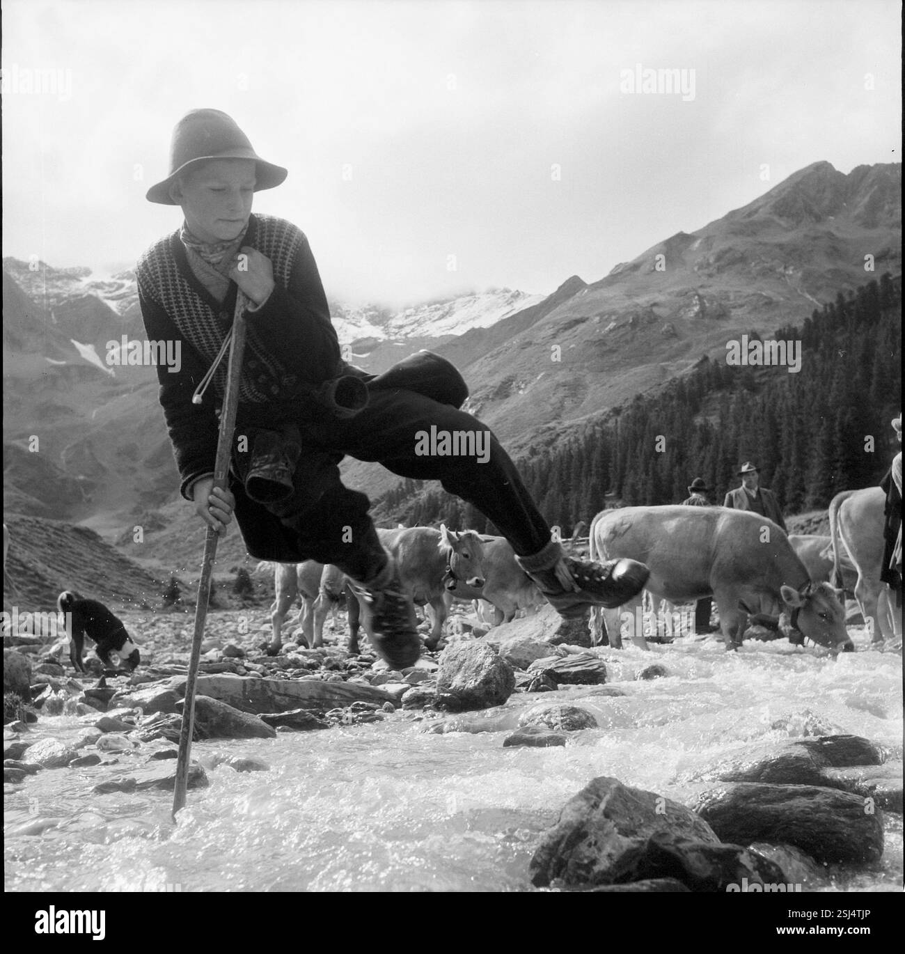 Calfeisental, Junger Kuhhirte auf der Alp Sardona; 1960#Calfeisental ...