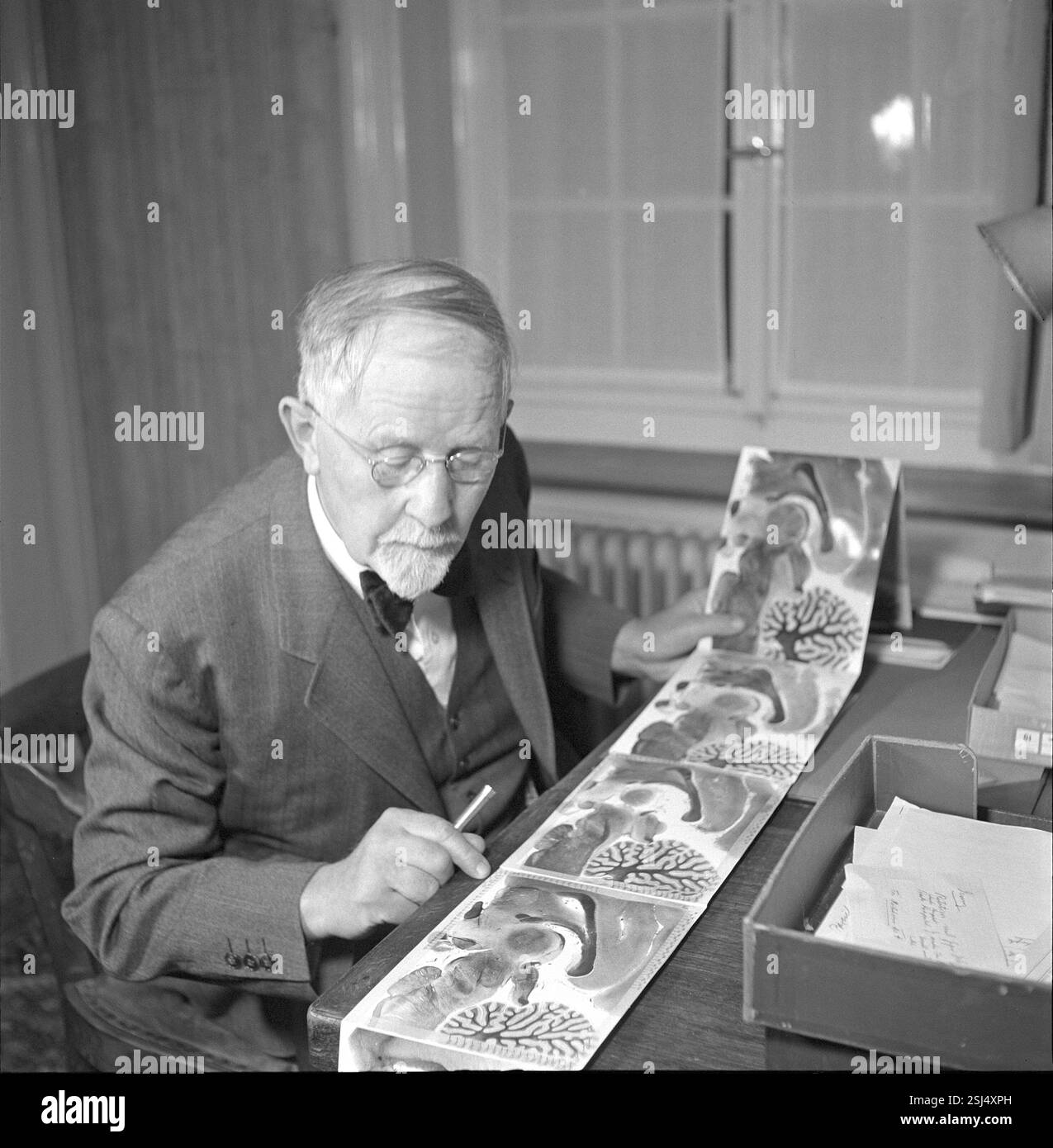 Walter Rudolf Hess, 1944#Walter Rudolf Hess, 1944 Stock Photo - Alamy