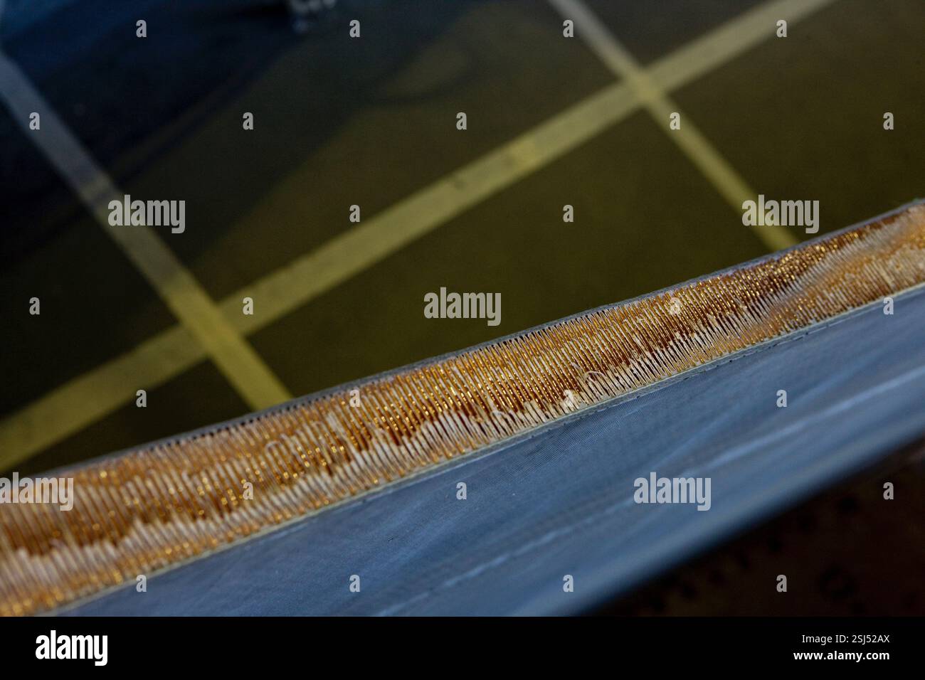 Shipbuilding Industry. Working on glass fiber hull of super sailing ...