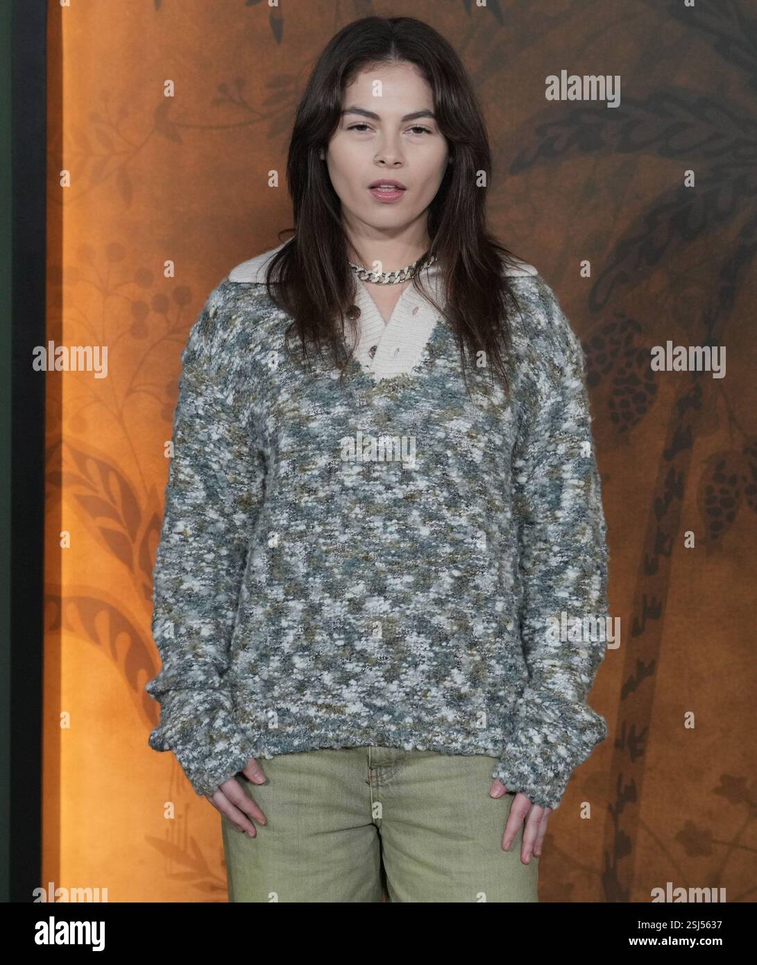 Los Angeles, USA. 10th Feb, 2025. Destiny Rogers arrives at the HBO ...