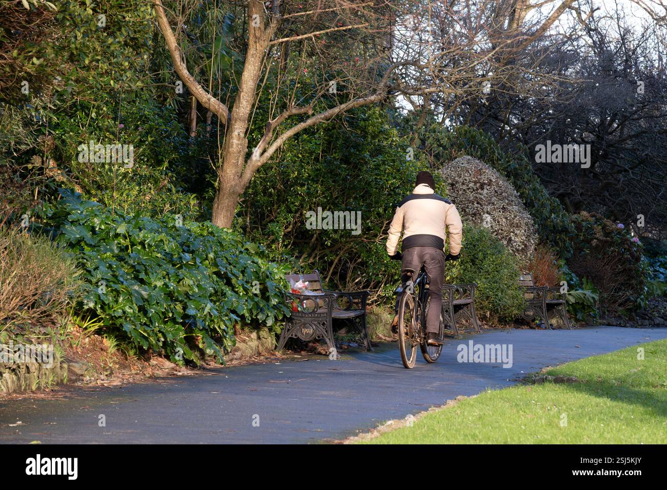 A cyclist riding his bicycle along a footpath in Trenance Gardens in ...