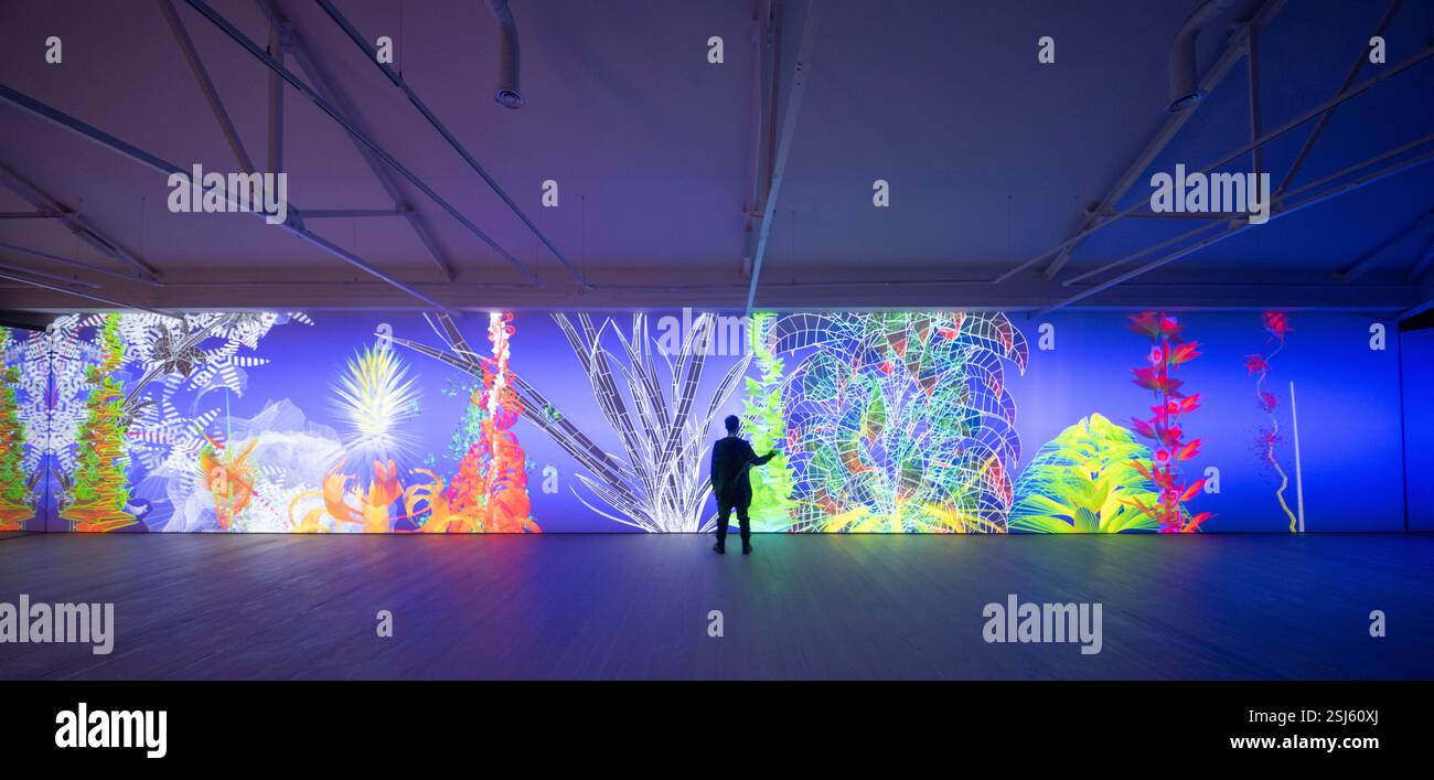 Saatchi Gallery, London, UK. 11th Feb, 2025. FLOWERS, Flora in ...