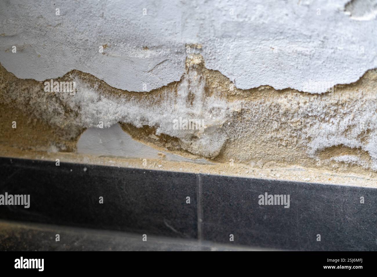 Wet wall in the house floor with Saltpeter, harmful building damage ...