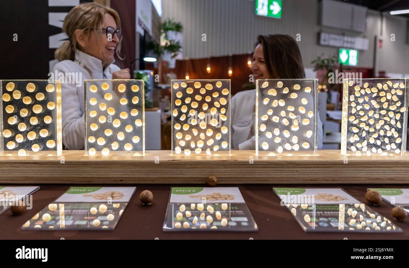 Nuremberg, Germany. 11th Feb, 2025. Macadamia nuts embedded in ...