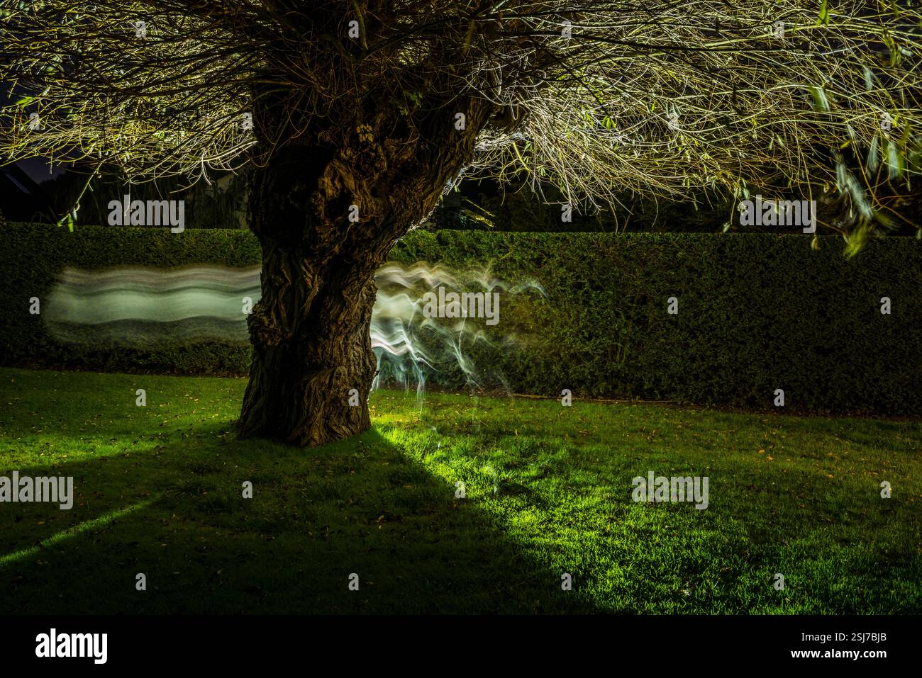 Scary witch blurred hi-res stock photography and images - Alamy