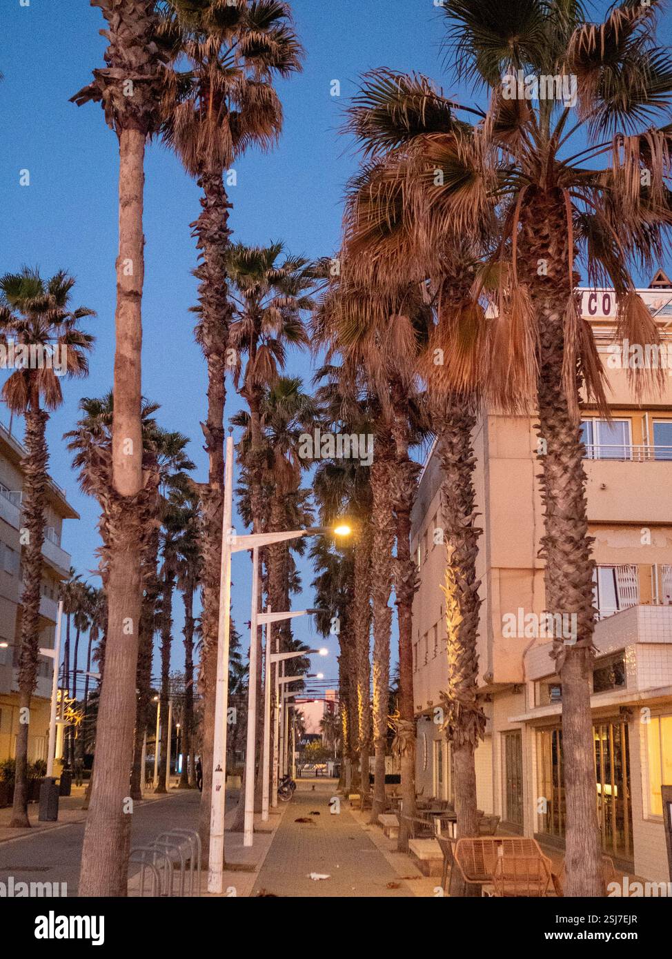 Spain Valencia city landscape church, catadral, tower, art, ocean wild ...