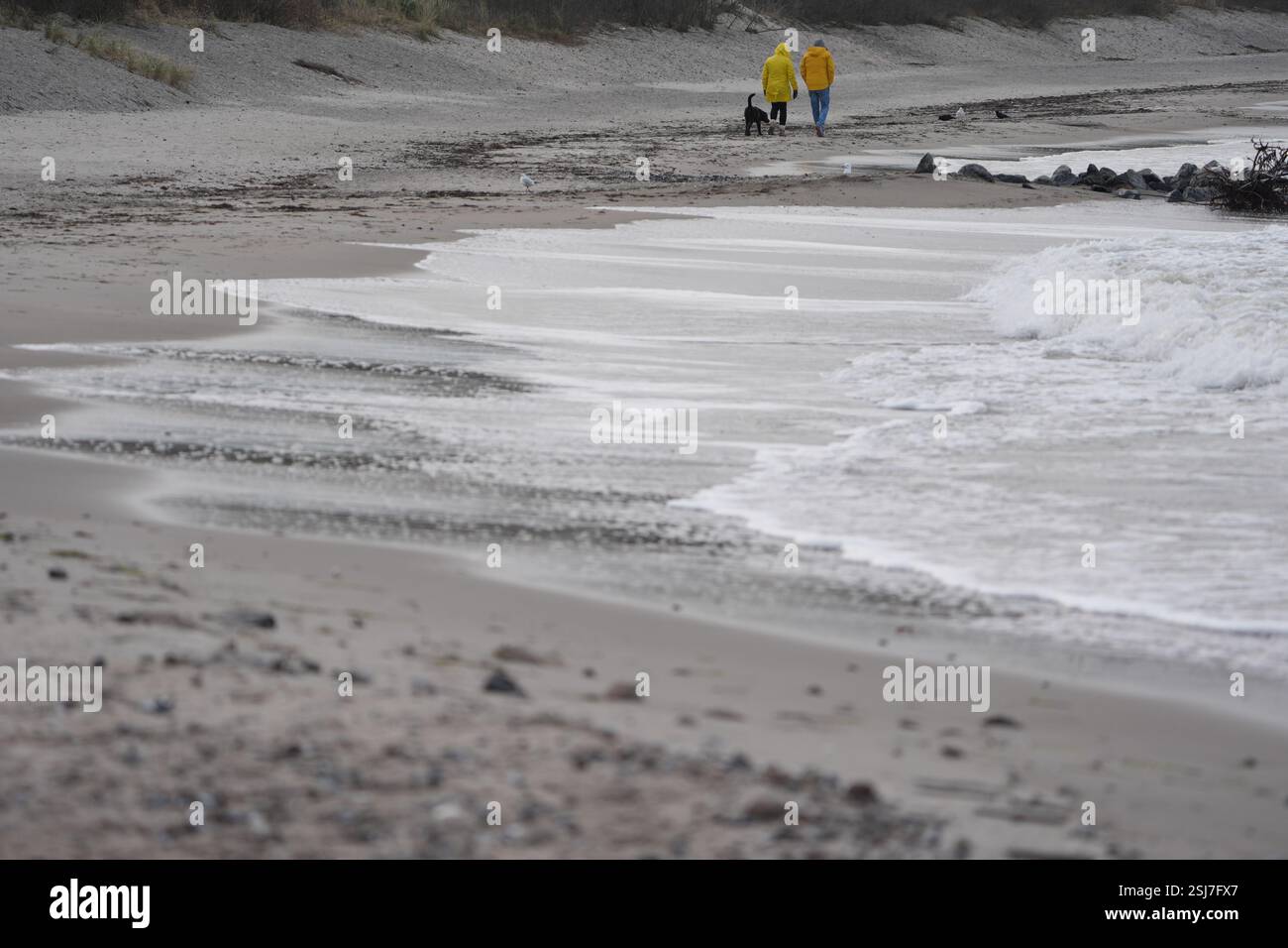 Timmendorfer Strand, Germany. 11th Feb, 2025. Passers-by take a dog for ...