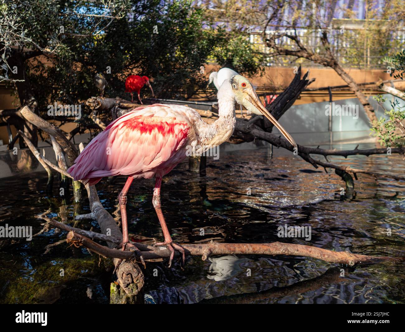 Spain Valencia city landscape church, catadral, tower, art, ocean wild ...