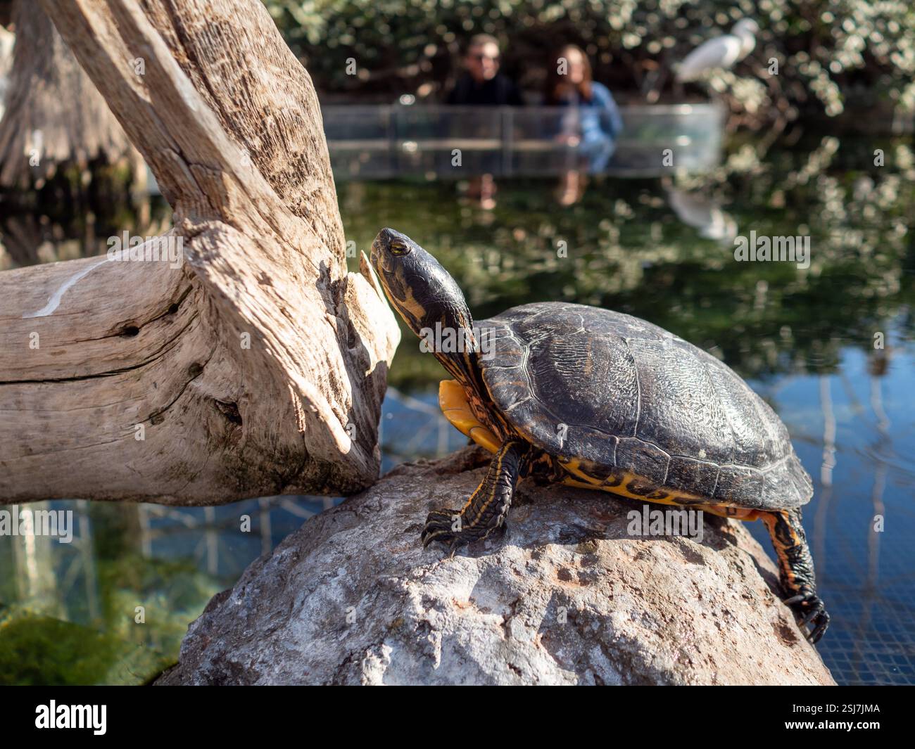 Spain Valencia city landscape church, catadral, tower, art, ocean wild ...