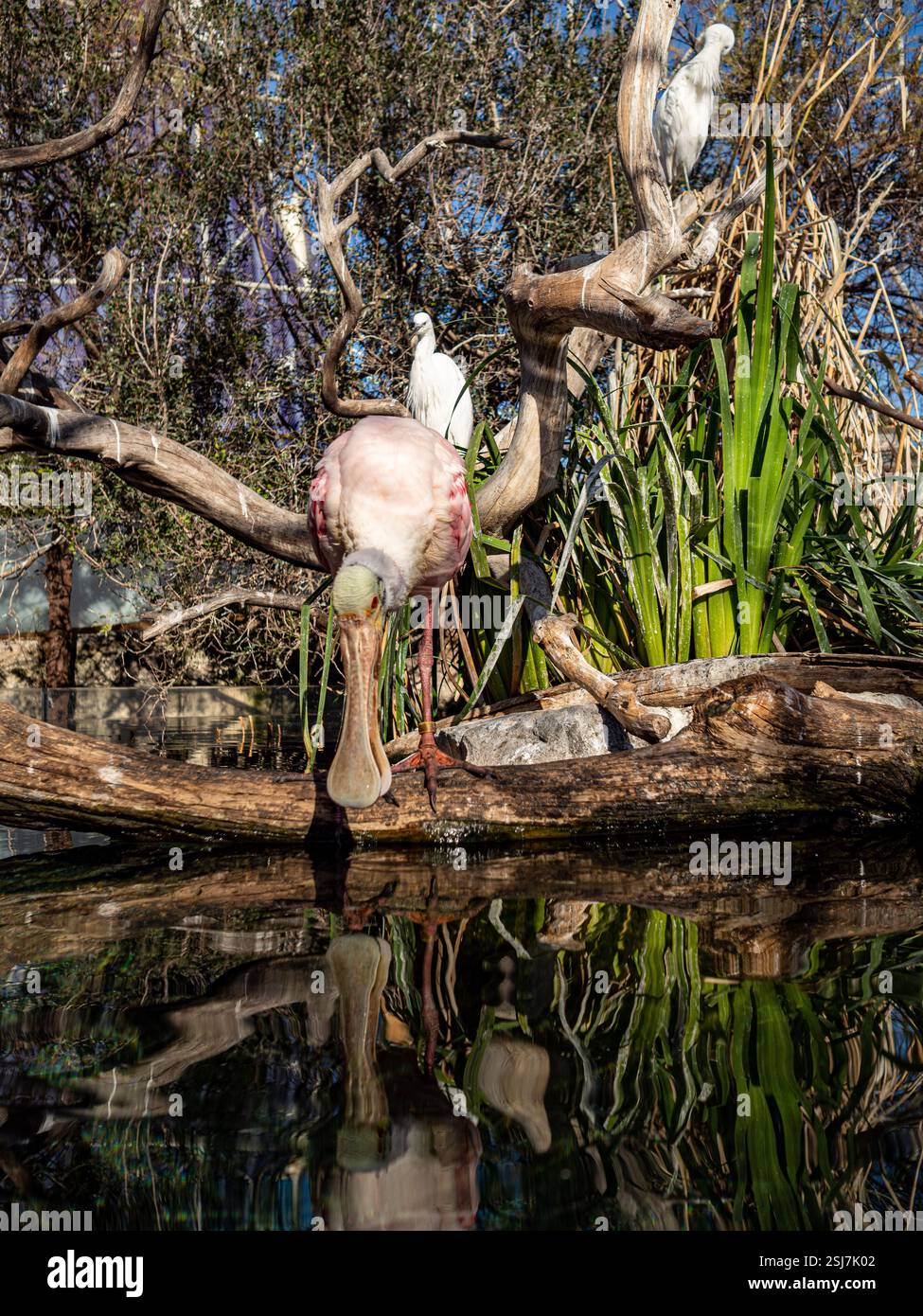 Spain Valencia city landscape church, catadral, tower, art, ocean wild ...