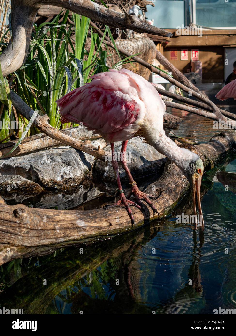 Spain Valencia city landscape church, catadral, tower, art, ocean wild ...