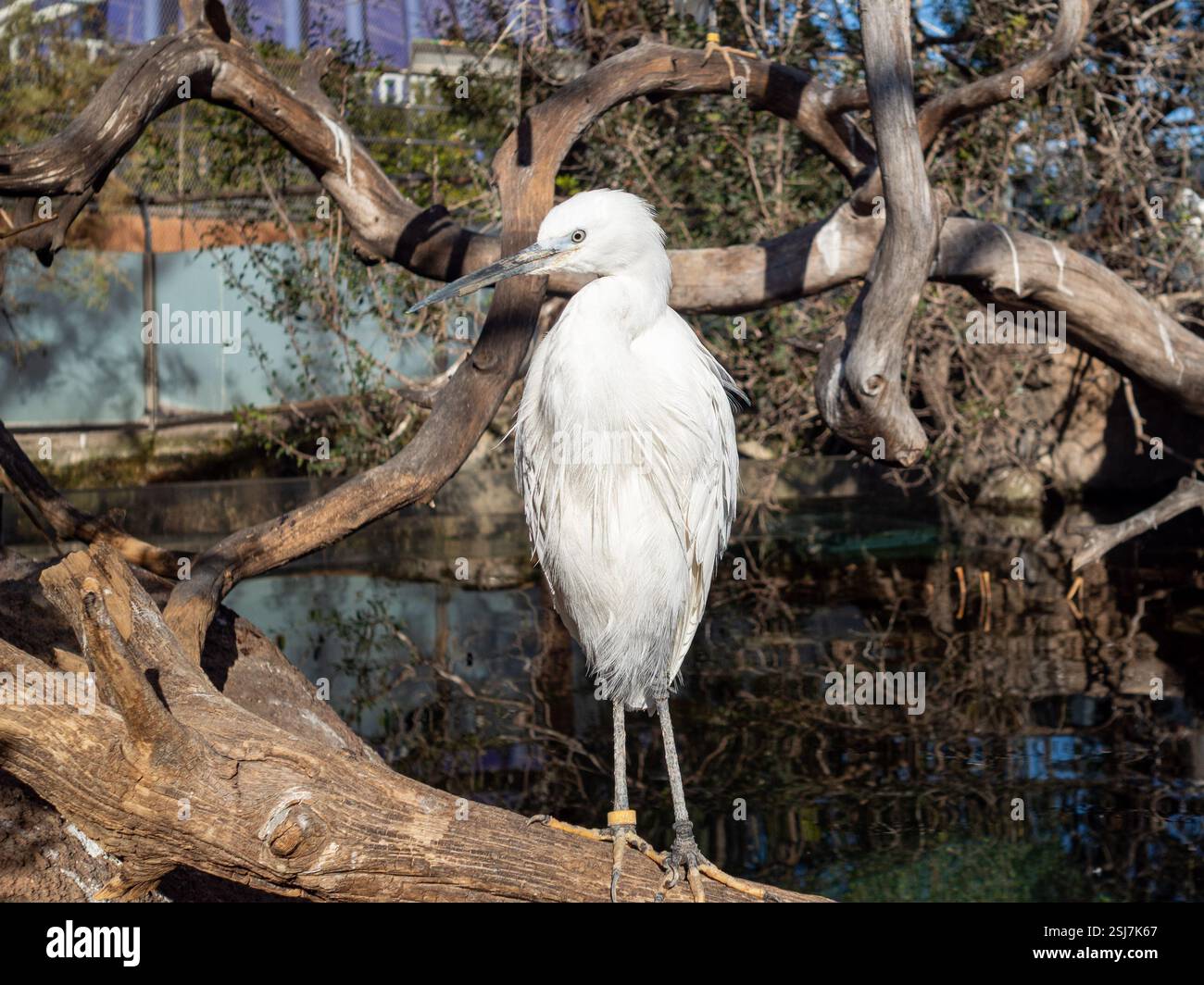 Spain Valencia city landscape church, catadral, tower, art, ocean wild ...