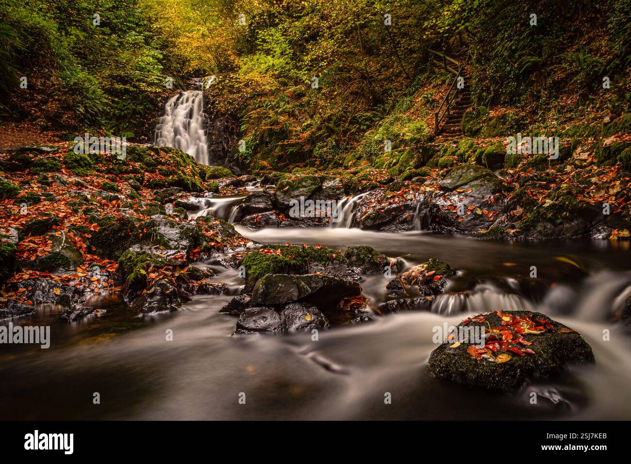 Autumn colours at Glenoe Waterfall, Larne, Northern Ireland, United ...