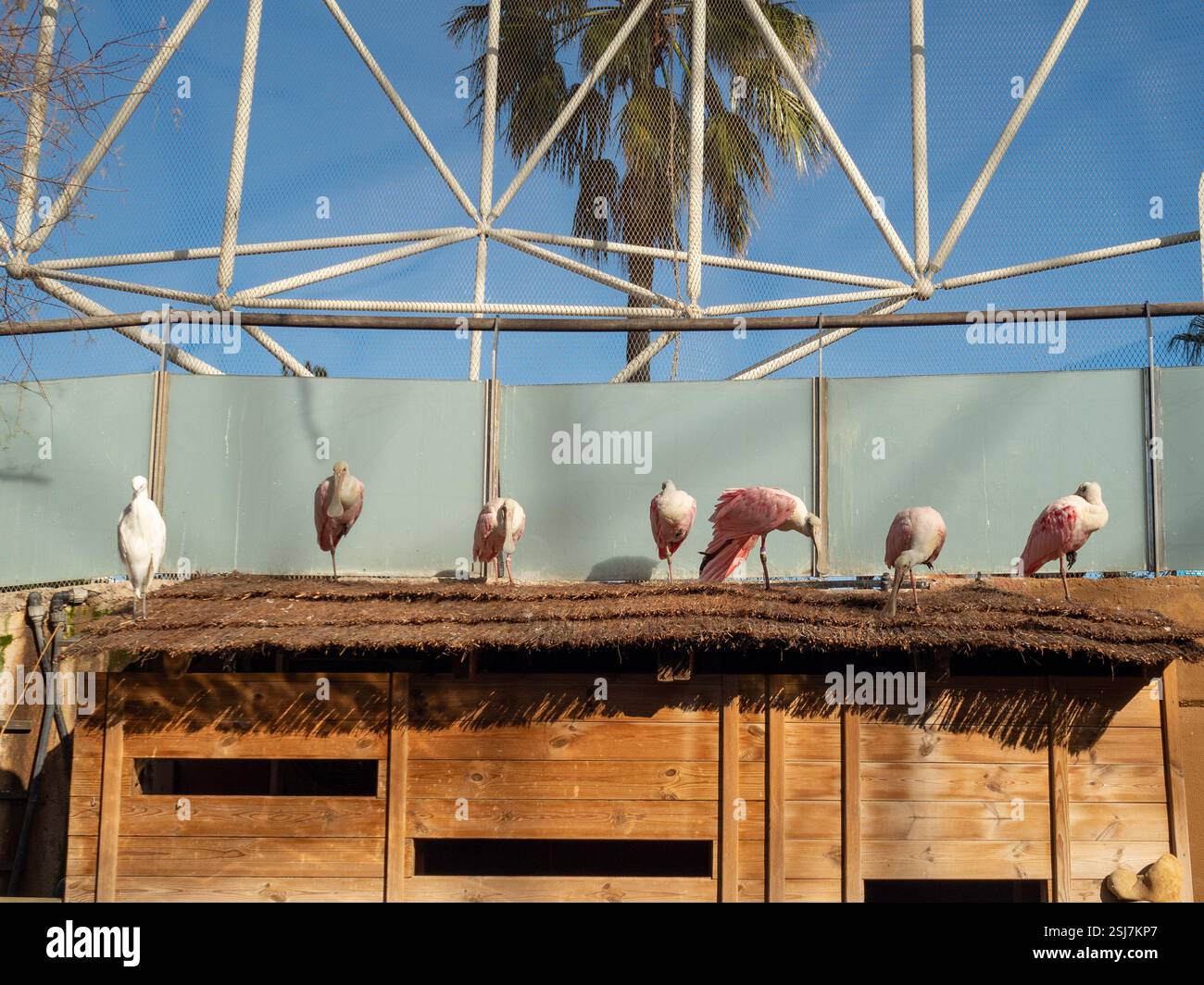 Spain Valencia city landscape church, catadral, tower, art, ocean wild ...