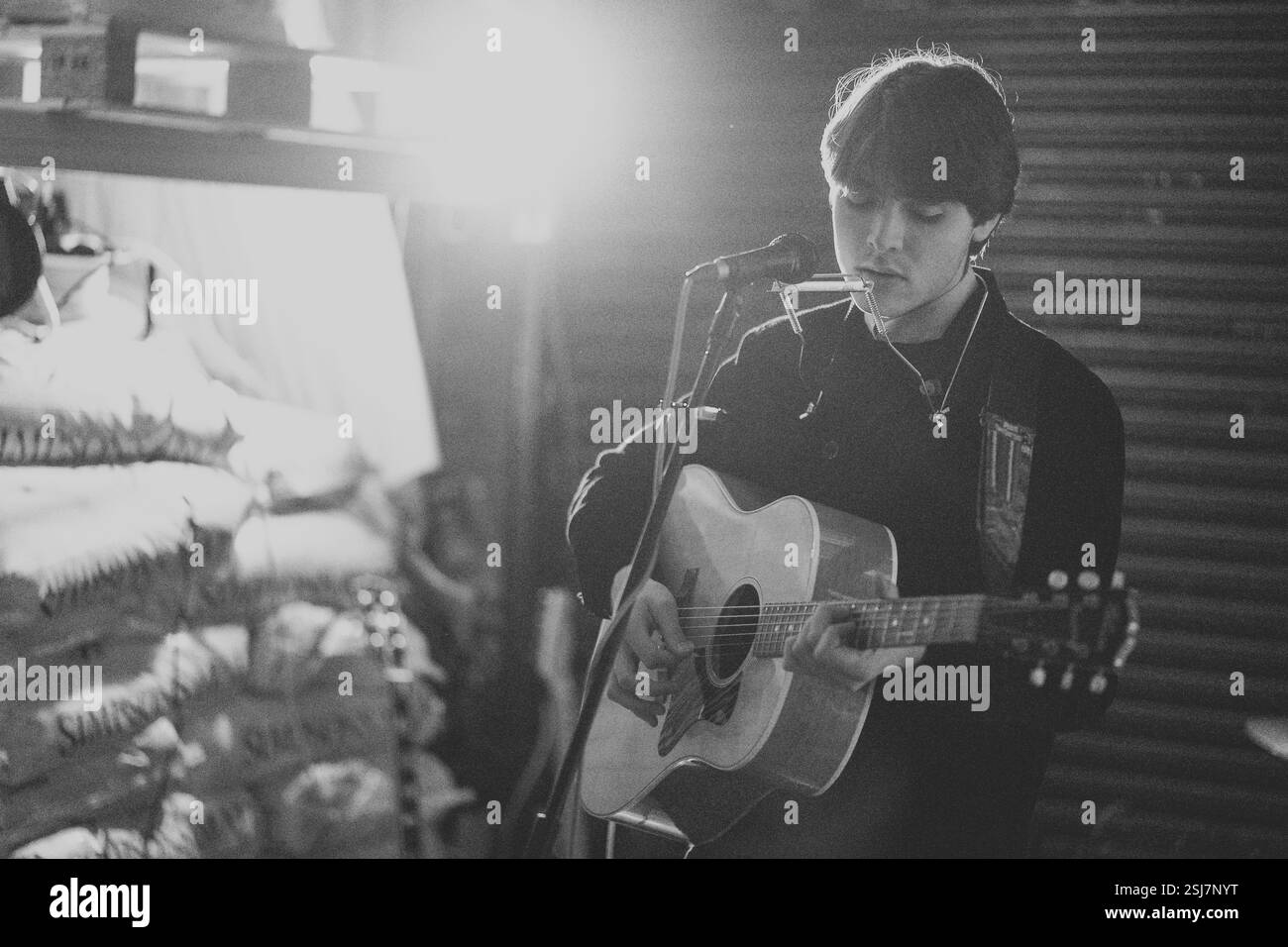 Ellis Murphy at Azvex Brewery, 8th February 2025 Stock Photo - Alamy