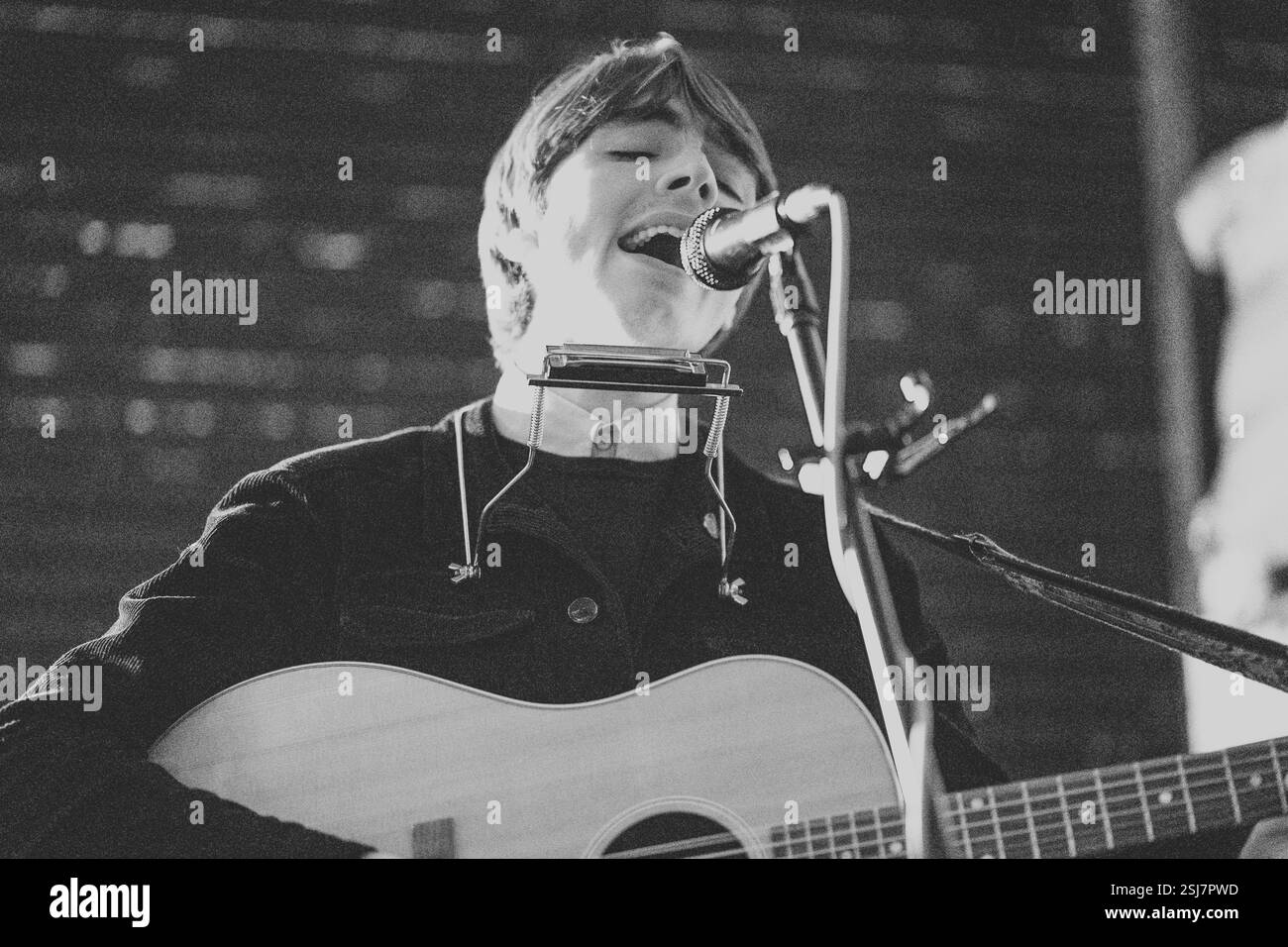 Ellis Murphy at Azvex Brewery, 8th February 2025 Stock Photo - Alamy