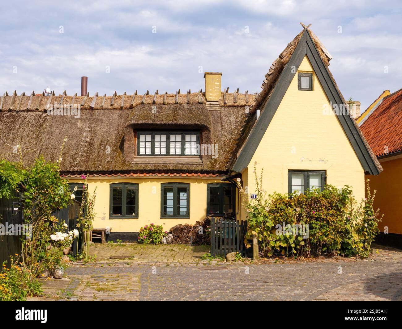 Historic yellow house with thatched roof in Dragør Old Town, Amager ...