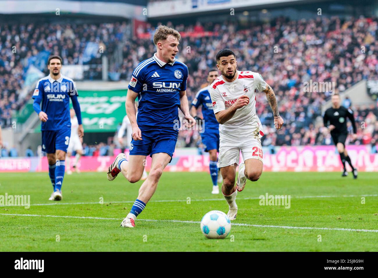 Zweikampf Derry John Murkin (FC Schalke 04, 5), Jusuf Gazibegovic (1. FC K?ln, 25) 2. Fu?ball ...