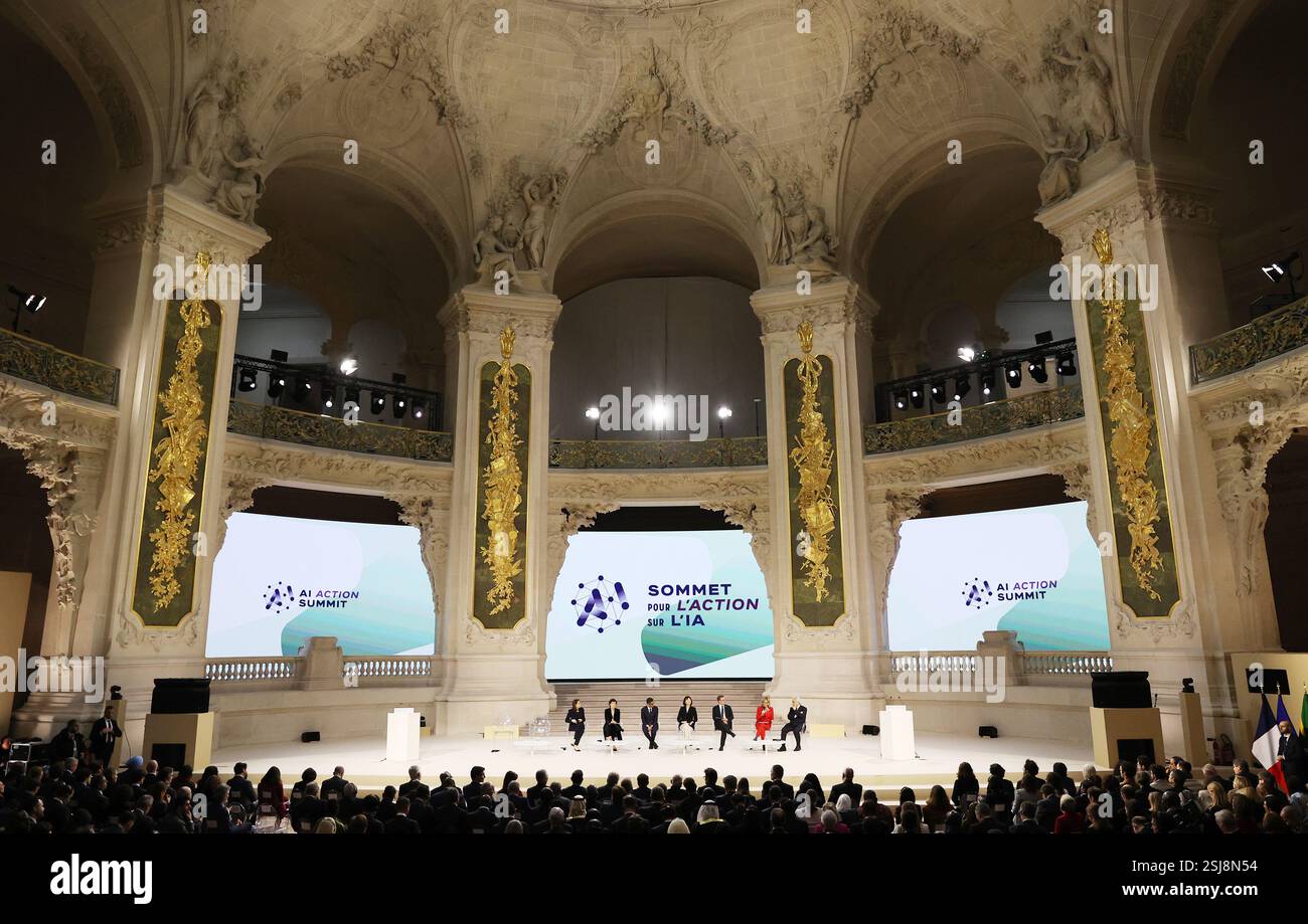 Paris, France. 11th Feb, 2025. Delegates attend a plenary session at ...