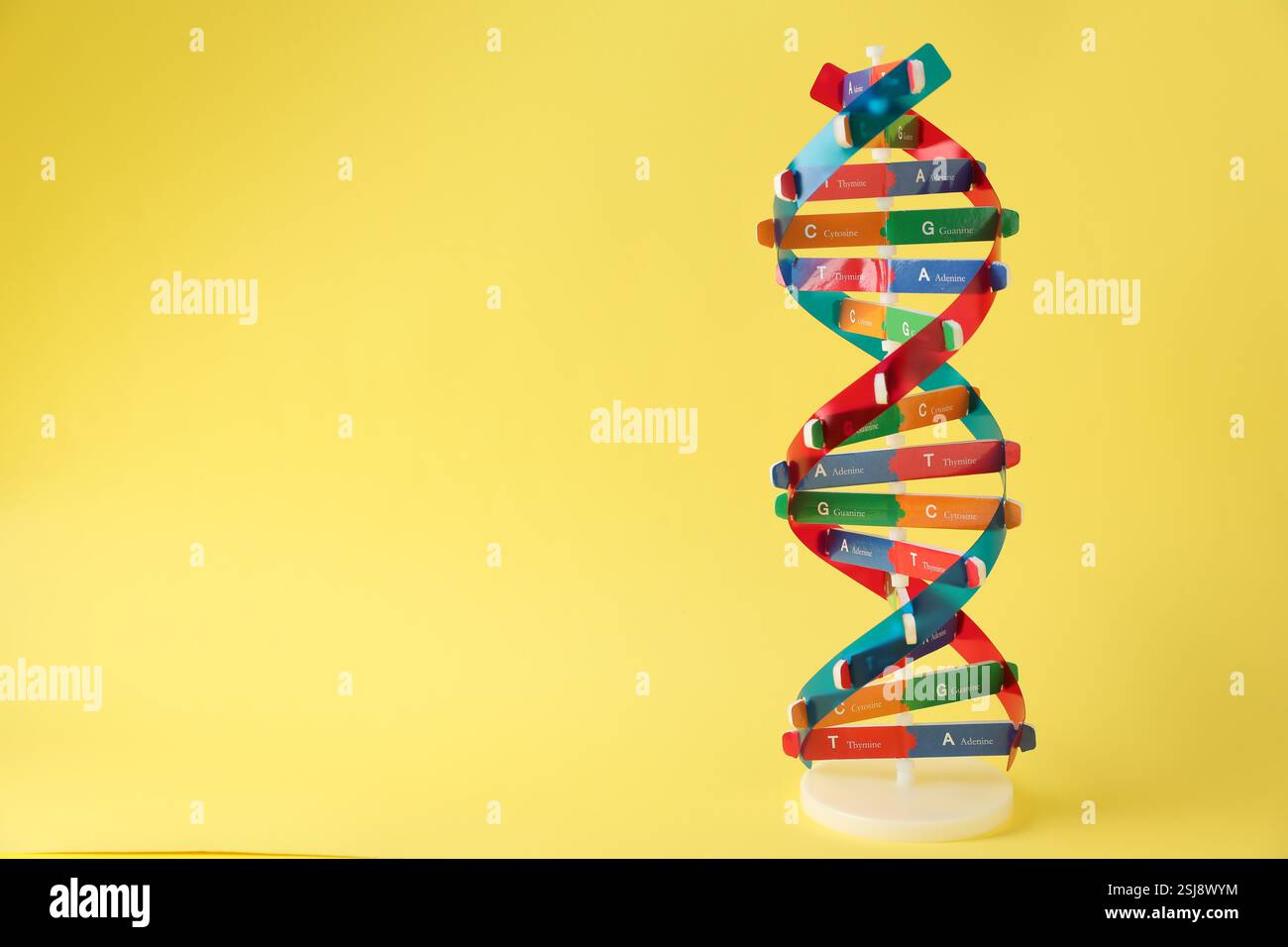 DNA structure model on yellow background, space for text Stock Photo ...