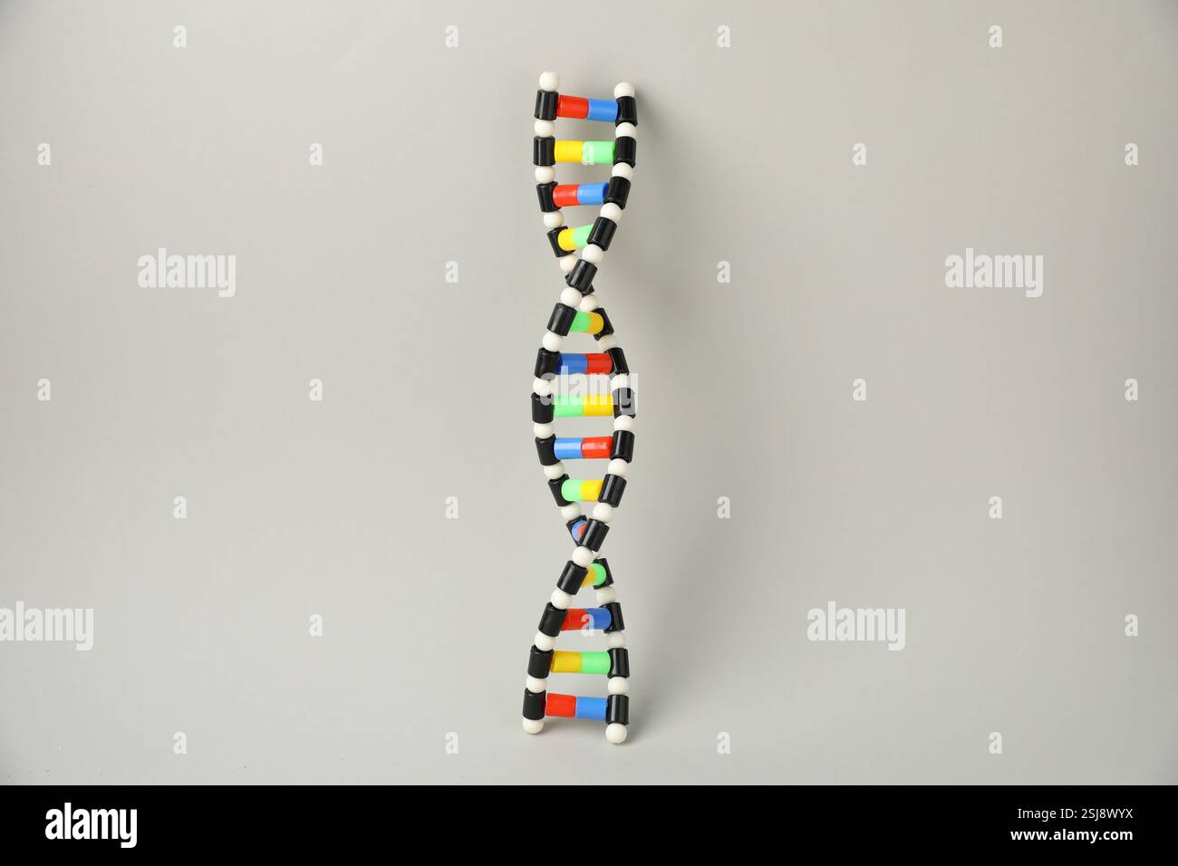 DNA structure model on light grey background Stock Photo - Alamy