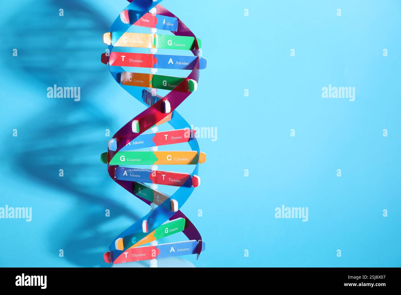 DNA structure model on light blue background, space for text Stock ...