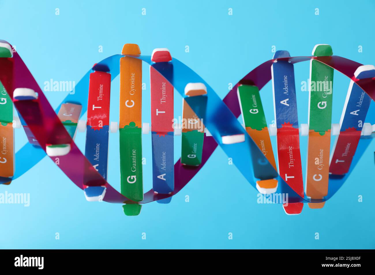 DNA structure model on light blue background, closeup Stock Photo - Alamy