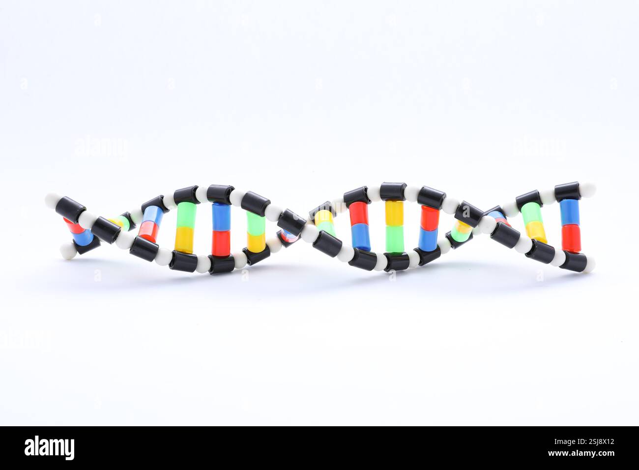 Colorful DNA structure model on white background Stock Photo - Alamy
