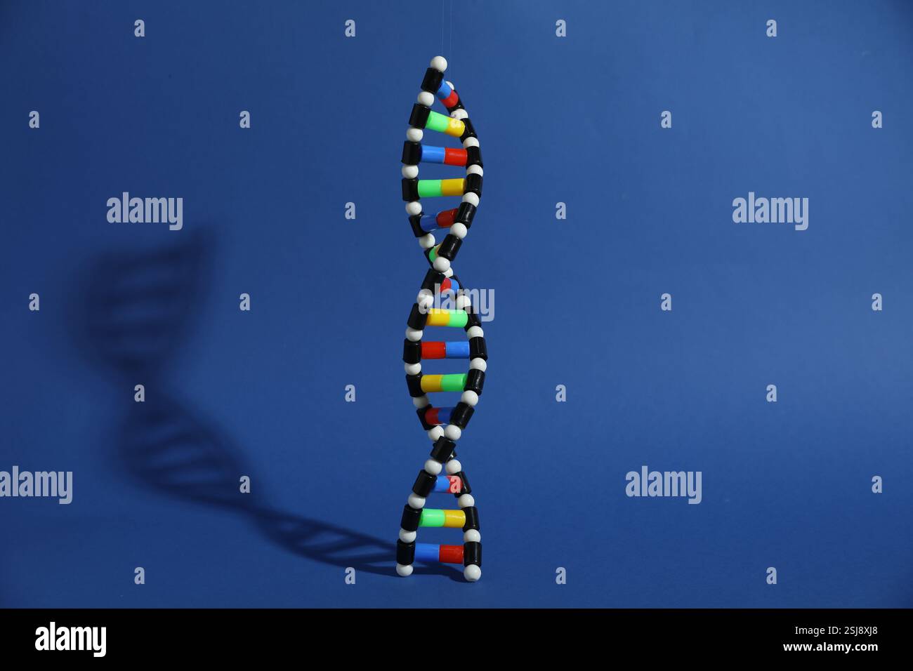 Colorful DNA structure model on blue background Stock Photo - Alamy