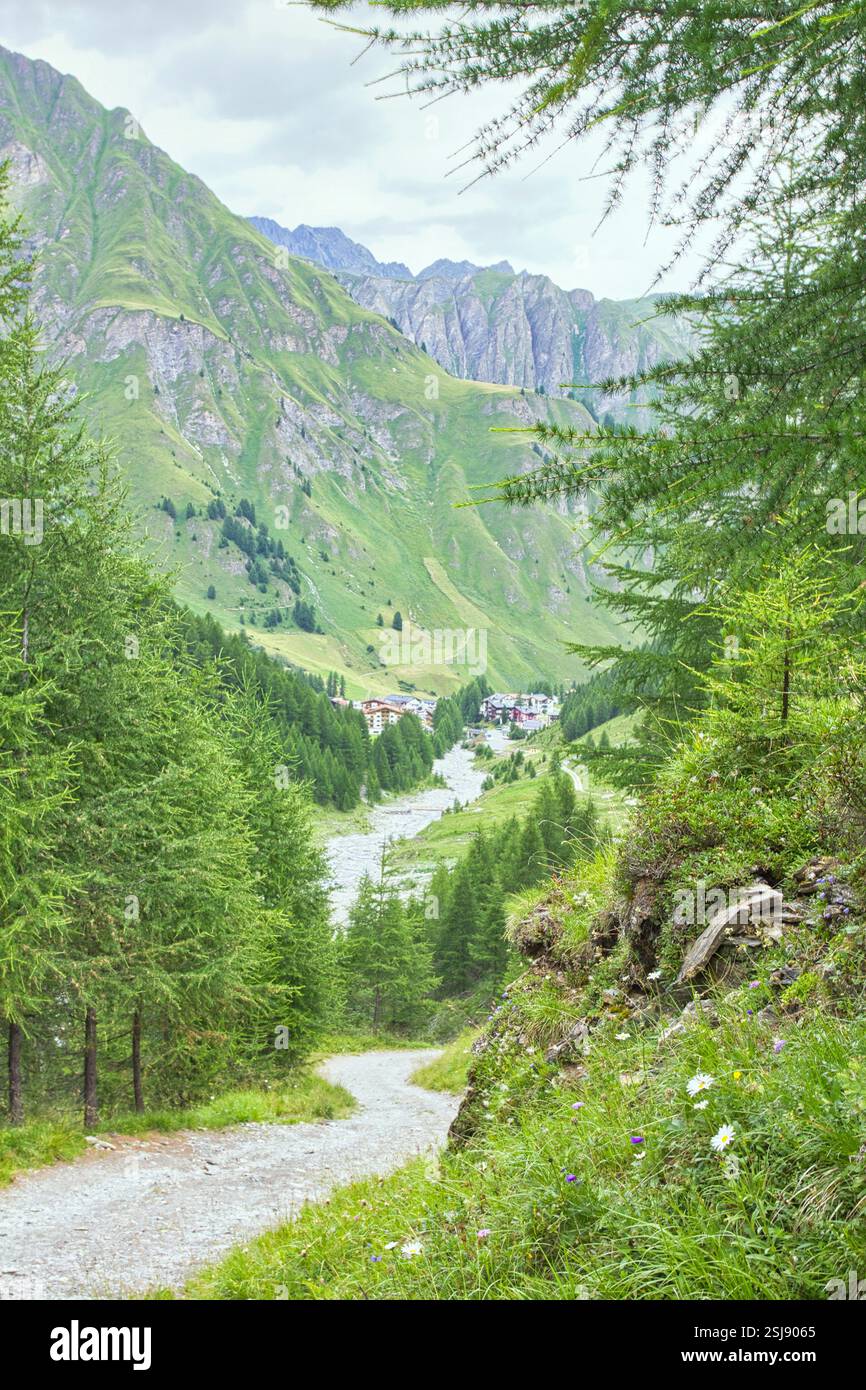 A winding trail leading through a green Alpine valley in Samnaun ...