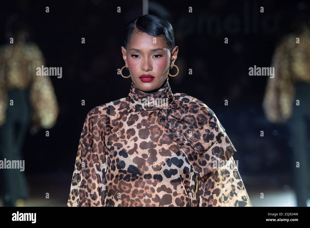 A model walks runway for Pamella Roland runway show during New York ...