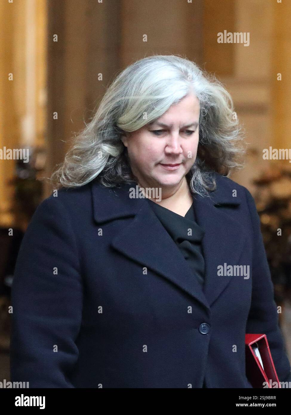 London, United Kingdom. 11th Feb, 2025. Heidi Alexander MP, Secretary ...
