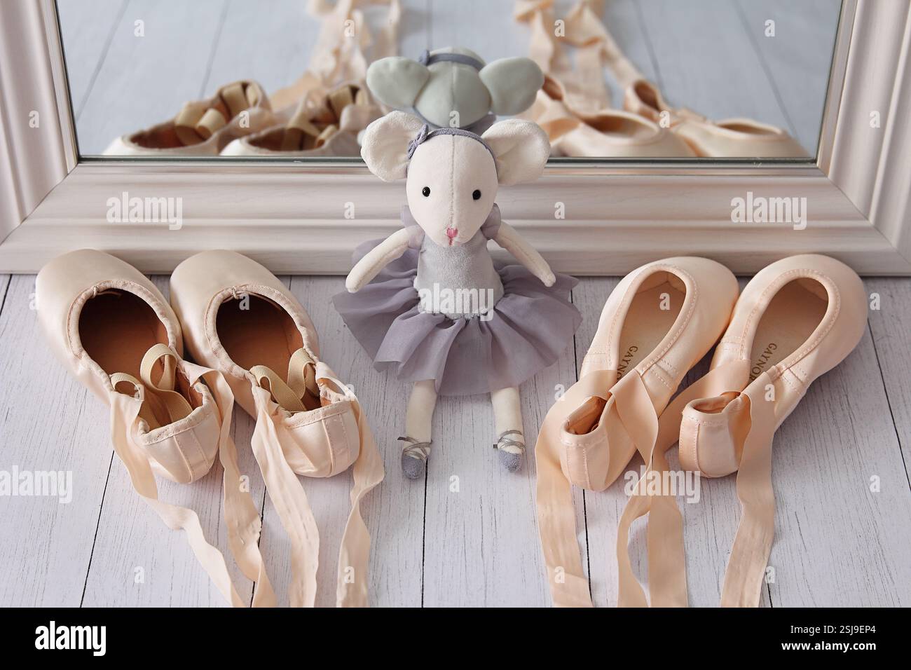 Ballet Mouse with Pointe Shoes and a Mirror Stock Photo - Alamy