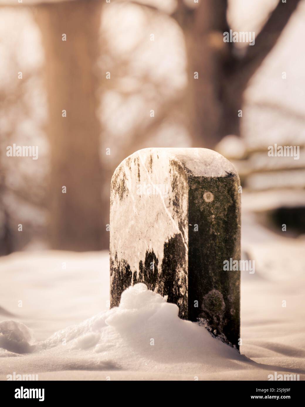 snow-covered old gravestone in a historic cemetery Stock Photo - Alamy
