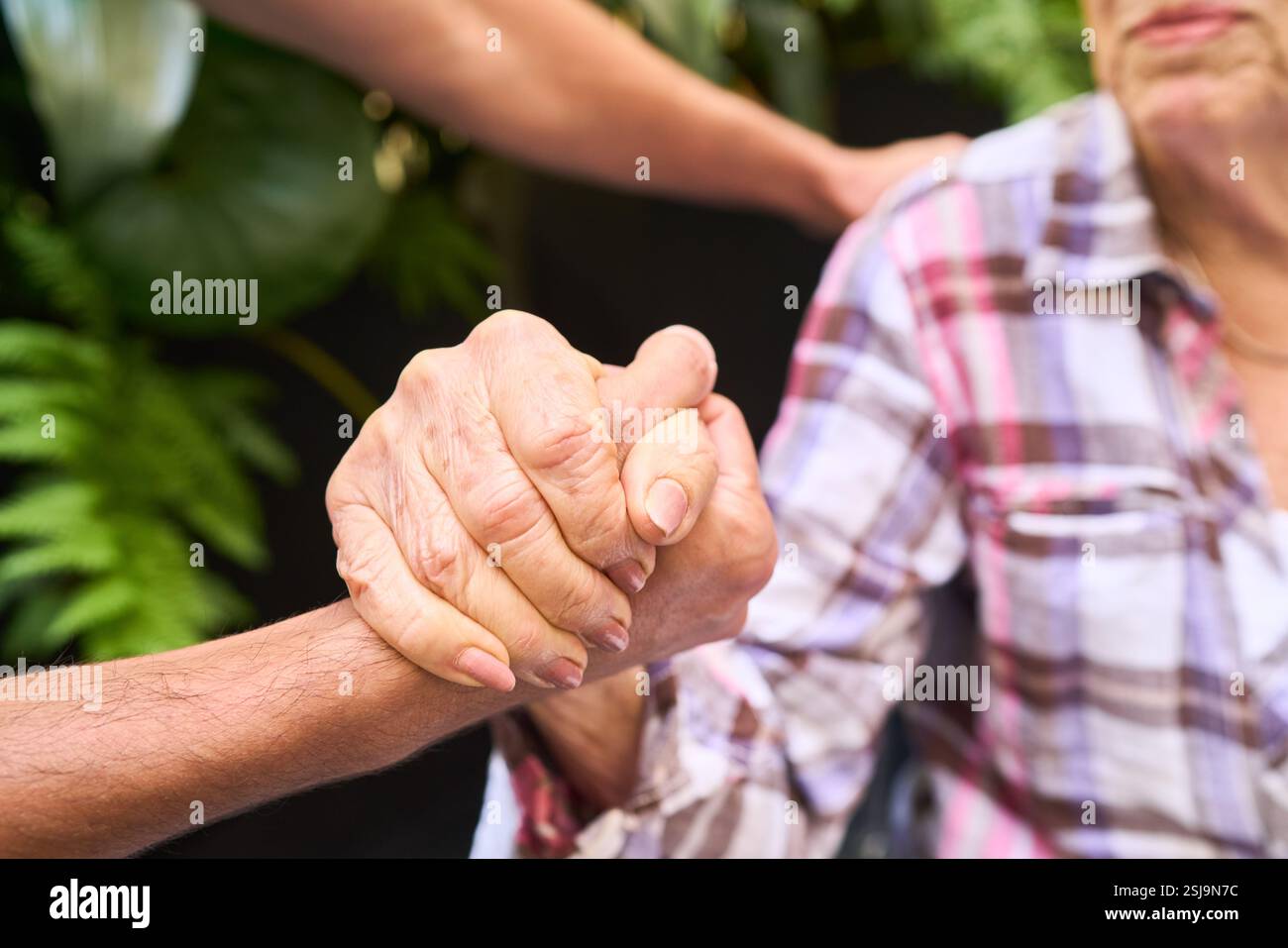 Elderly hands being gently held, showing compassion and support ...